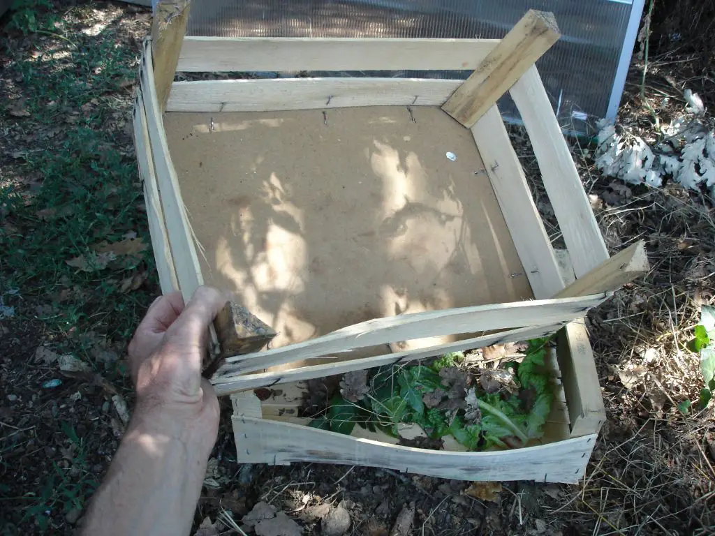 Comment bien démarrer un compost ? - MamanSanta Comment bien démarrer un compost ? - MamanSanta